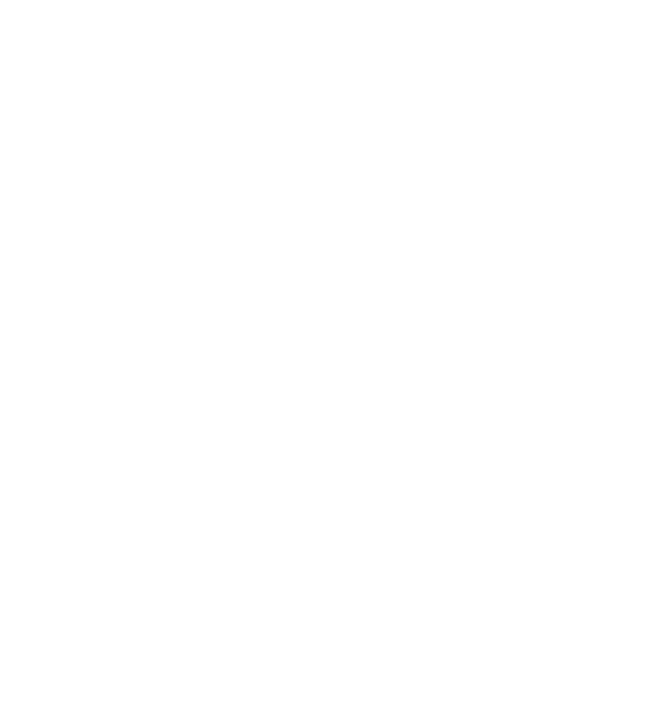 BAII Business Analytics International Institute - Agencia de Branding ...